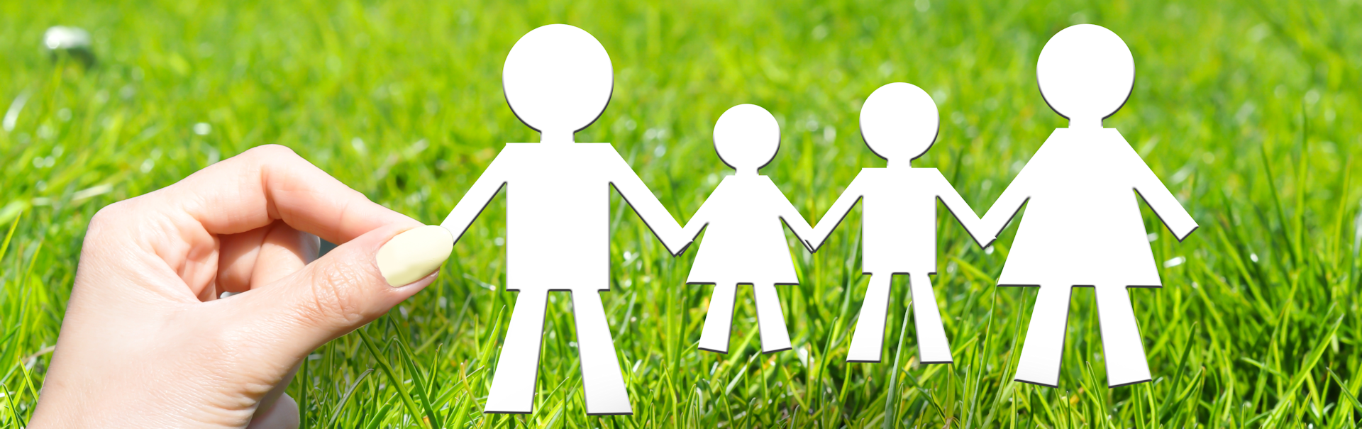 Leader in Life, Accident & Health Insurance Software