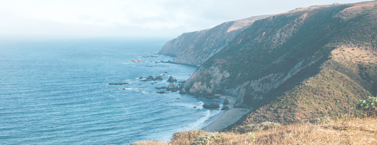 Leader in Life, Accident & Health Insurance Software